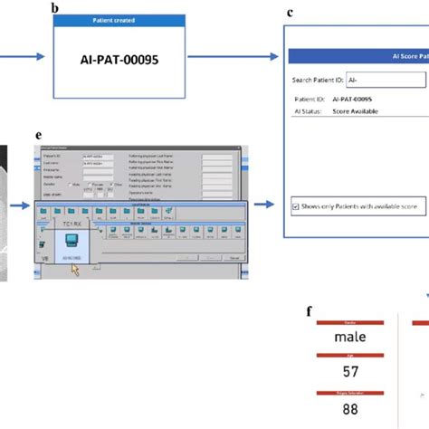 Example Of Ai Score Computation After Patients Age Sex And Oxygen