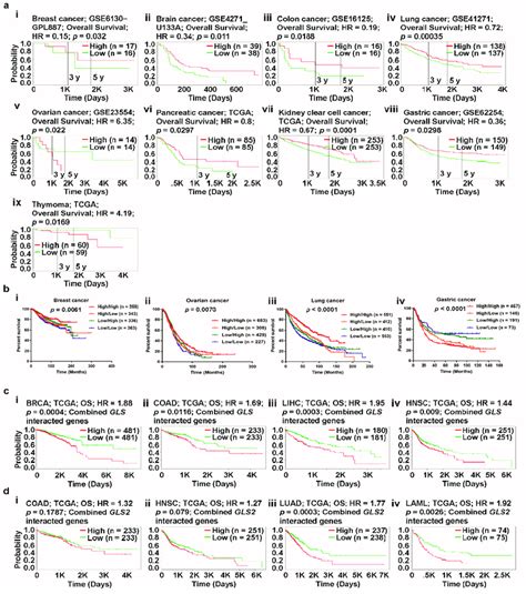 Correlation Of Combined GLS And GLS2 Gene Expression With Various Download Scientific Diagram