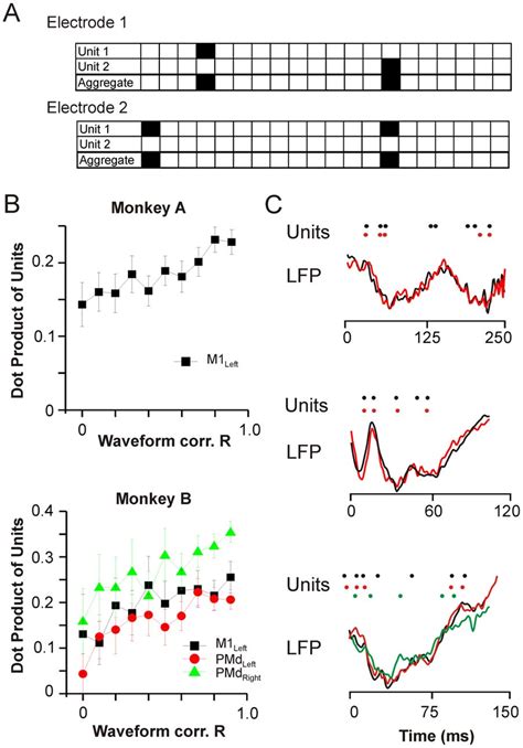 Similarity In Temporal Pattern Of Unit Activity Increases With Waveform