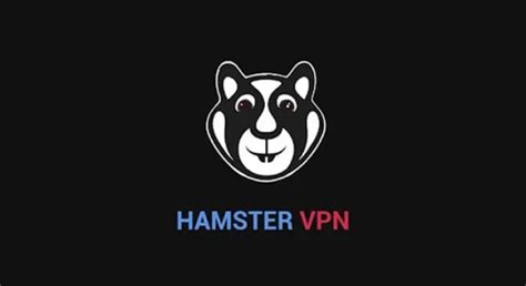 Link Download Apk Hamster Vpn Terbaru 2024 Koneksi Cepat Dan Bandwidth