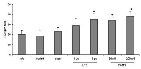 Numbers Of Polymorphonuclear Cells Pmn Per High Powered Field In The Download Scientific