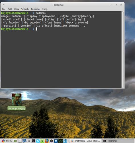 Linux Mint Community
