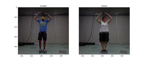 Single Pose Comparison — A Fun Application Using Human Pose Estimation