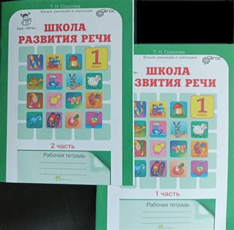 Соколова Школа развития речи 1 класс 2 части Соколова Т купить с доставкой по выгодным
