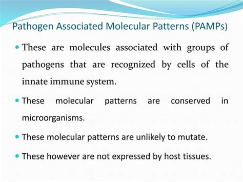 Pathogen Associated Molecular Patterns Pamps 2024 Notes Pptx