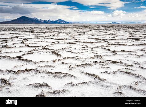 Crusted Salt Plates In Bonneville Salt Flats State Park Sunset Silver