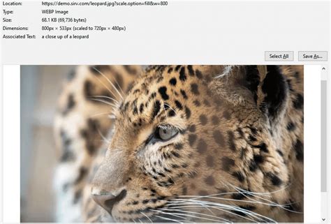 Generate Alt Text Automatically With AI And Sirv