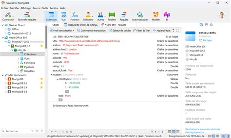 Navicat For Mongodb Outil De Gestion Et De Développement Mongodb Navicat