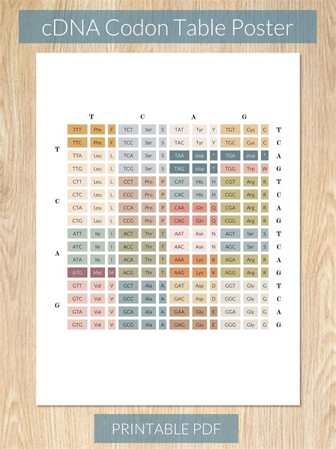Dna Codon Table Printable Poster Etsy Posters Printable Printables