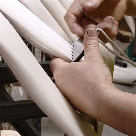 پرورش کرم ابریشم و تولید کرم ابریشم برای بافندگی ویزیت ایران