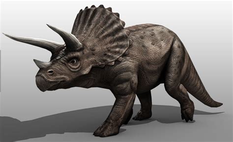 Triceratops Facts About The Three Horned Dinosaur Dinosaur Jurassic