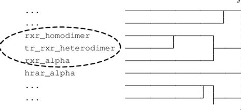 producing clusters by cutting off the subtrees of the dendrogram