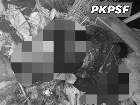 Khit ဖယ်ခုံမြို့ ရှိ စစ်ရှောင်စခန်း ၂ ခုကို စစ်တပ်က လေယာဉ်ဖြင့် ဗုံးကျဲမှု အသက် ၄ နှစ်အရွယ