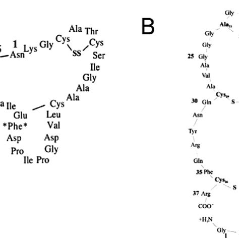 A Proposed Structure Of Subtilosin Babasaki Et Al 1985 The Download Scientific Diagram