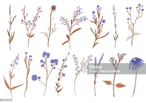 야생화 컬렉션입니다 꽃 꽃 요소의 큰 세트입니다 가지 잎 허브 식물 정원 초원 필드 컬렉션 잎 단풍 가지 흰색으로 격리된 블룸 벡터 그림 0명에 대한 스톡 벡터 아트 및