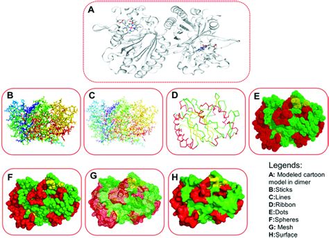 Protein Model Assessment Report Generated For Assessing The Quality Download Scientific