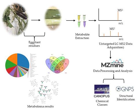 Molecules Free Full Text Metabolomic Analysis Of Phytochemical