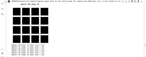 epoch issue warning matplotlib image clipping input data to the valid