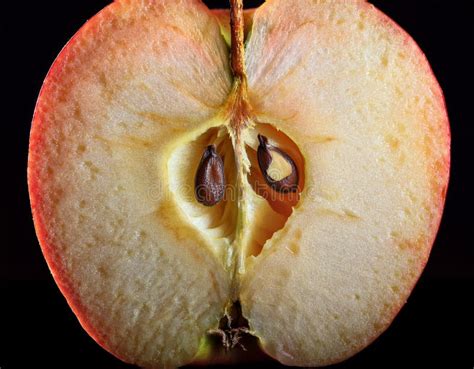 An Artistic Close Up Of An Apple S Cross Section Revealing Its Seeds And Intricate Core