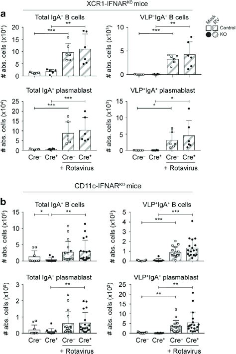 Type 1 Ifn Receptor Ifnar Signalling On Dcs Is Dispensable For The