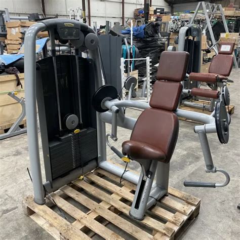 TECHNOGYM ARM CURL Bicep Curl Selection Line Commercial Gym Equipment EUR PicClick FR