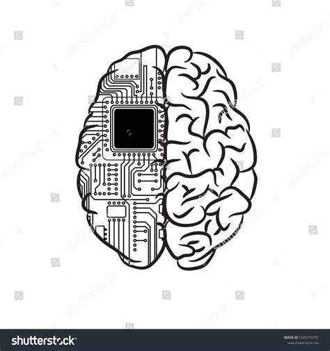 뇌 750040개가 넘는 로열티 프리 라이선스 대상 스톡 일러스트 및 그림 Shutterstock