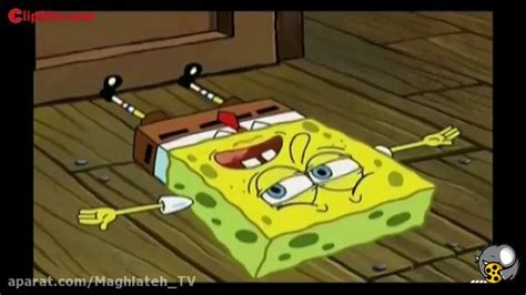 باب اسفنجی این داستان قلدر فیلو