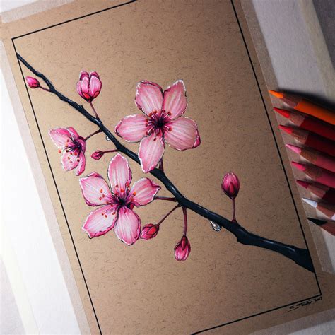 Cherry Blossom Pencil Drawing A Step By Step Guide For Beginners