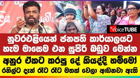 මේ ආණ්ඩුව ආයේ කපේකට වට්ටන්න බෑ හරිද මතක තියාගන්න රනිල්ට දැන් රෑට රෑට මතක් වෙලා අඬනවා ඇති Youtube