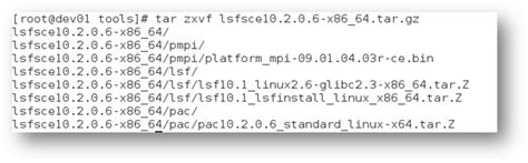 Lsf101 安装教程lsf 101 Csdn博客