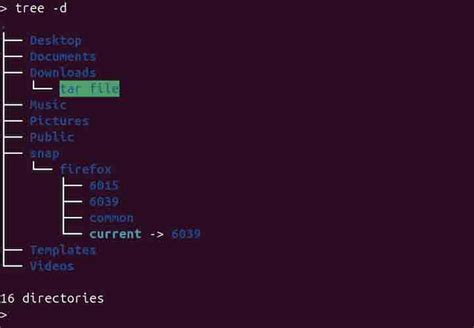 Tree Command In Unix