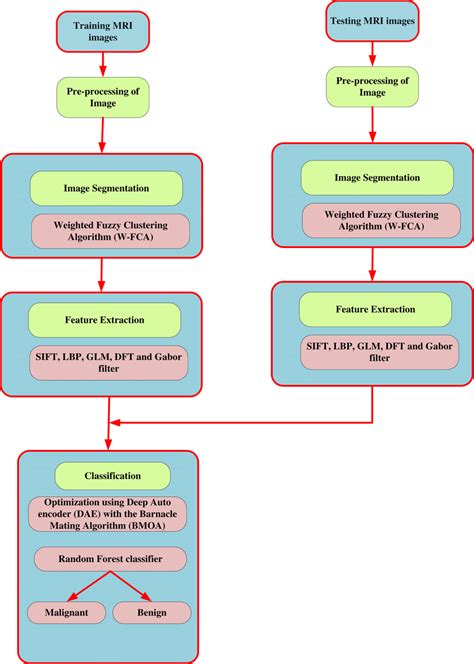 Overall Structure Of The Proposed Brain Tumor Classification System Download Scientific Diagram