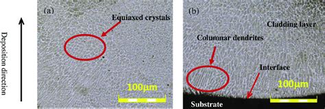 Typical Microstructure Of The As Deposited Laser Cladding H Steel Download Scientific