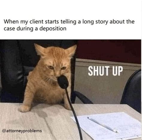 40 Lawyer Memes That Will Leave You In Contempt Of Laughter