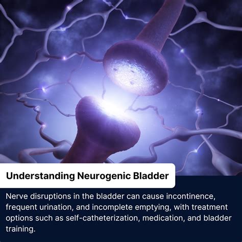 🧠 Neurogenic Bladder Dysfunction Causes Symptoms And Management 🧠 Neurogenic Bladder Dysfunction
