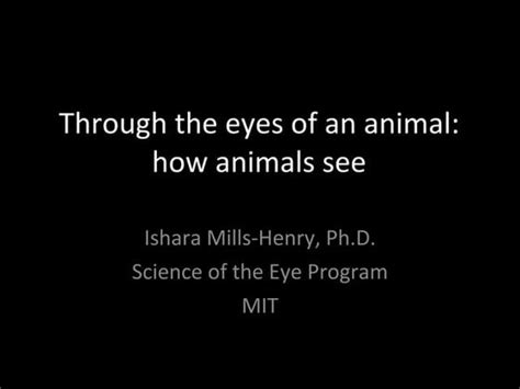 Insect Vision Entomology Insect Eye Facet Pptx Eye And Vision Conditions Diseases And