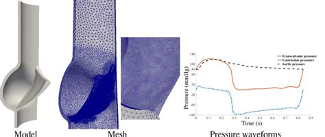 The Computational Domain And Mesh Used In The Finite Element Download Scientific Diagram