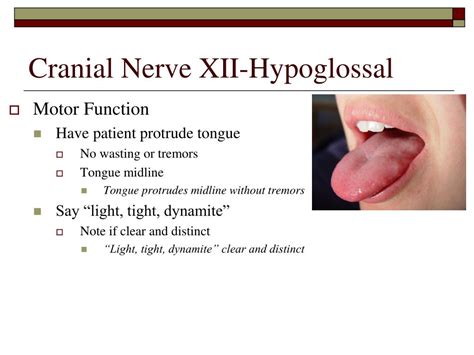 PPT Cranial Nerve Function A P Review PowerPoint Presentation ID
