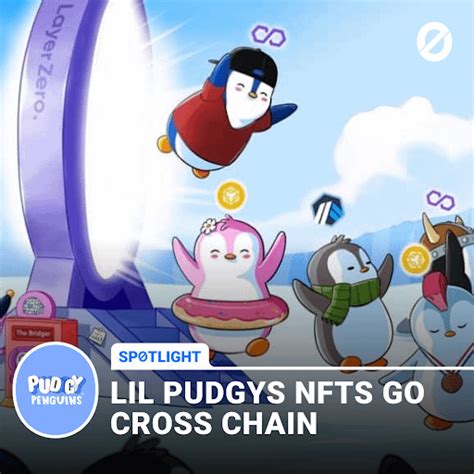 Lil Pudgys Nfts Go Cross Chain Roriginprotocol