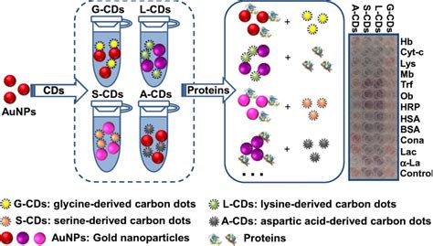 Schematic Presentation Of The Colorimetric Array Method Based On Amino