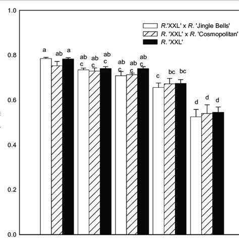 Estimation Of Maximum Quantum Yield Of Psii F V F M On Dark Adapted