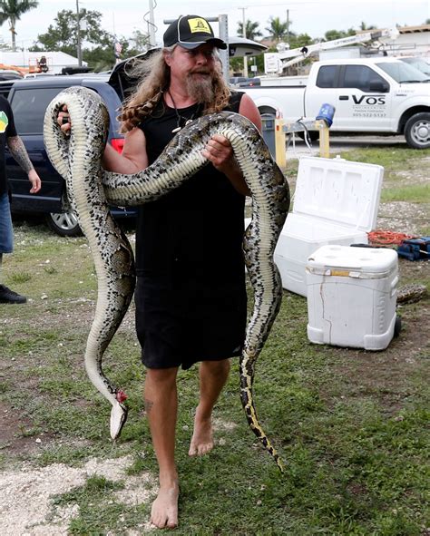 Florida Marks Milestone In Everglades Python Control Program The