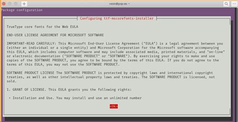 install microsoft font times new roman ubuntu chippiko