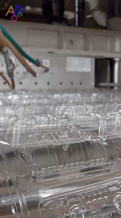 일회용 플라스틱 용기 대량생산 공장 😀 오늘의 숏 Beta