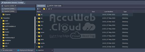 Php Application Server Configuration With Customization