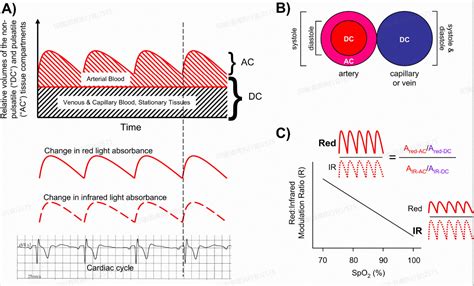 How Do Pulse Oximeters Work