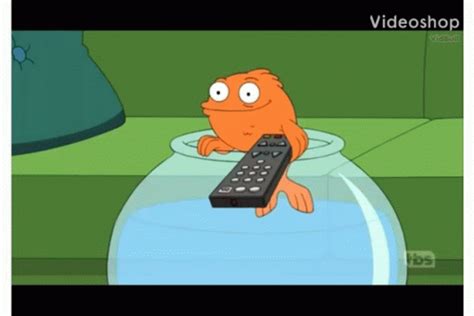 Klaus American Dad Quotes S Tenor