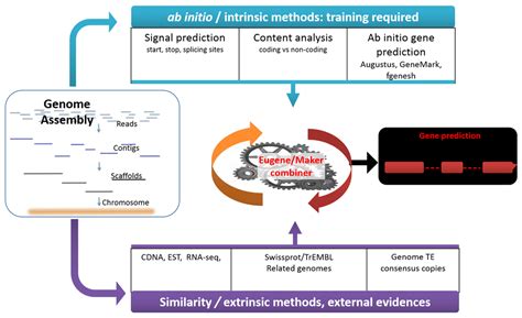 The Analytical Based Development Center Abdc Workshop