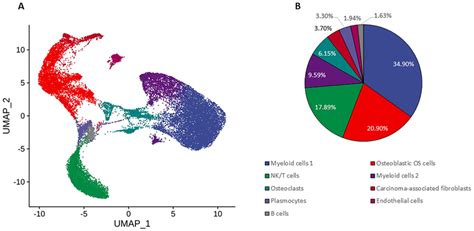 Single Cell Rna Sequencing Analysis Reveals Cellular Heterogeneity Of Download Scientific