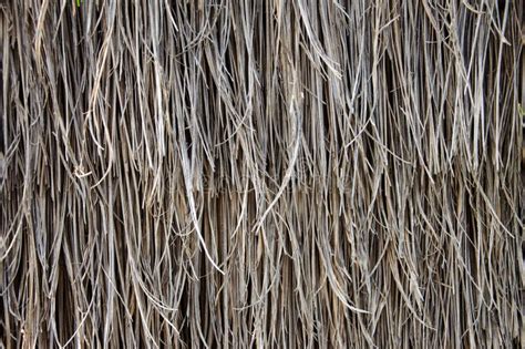Thatching Grass Stock Image Image Of Leaf Hometown 36514869